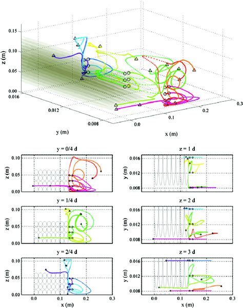 Simulated Particle Trajectories Initially Located Near The Lee Side Of Download Scientific