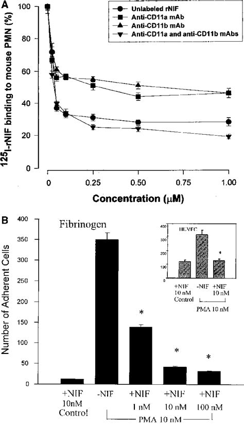 A Specific Binding Of 125 I Rnif To Mouse Pmn Mouse Pmns 5 10 5