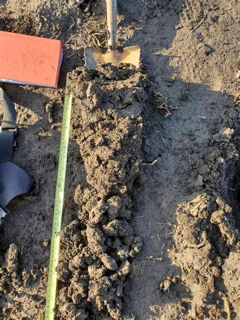 Soil Testing Williams County Soil Conservation District