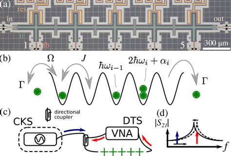 a optical image of the device false colored input and output