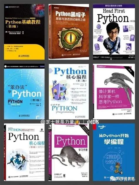 清华推荐的20本python电子书，轻松玩转python（高清版pdf可下载） 知乎
