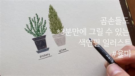그림 초보자를 위한 쉬운 색연필 일러스트 율마 Youtube