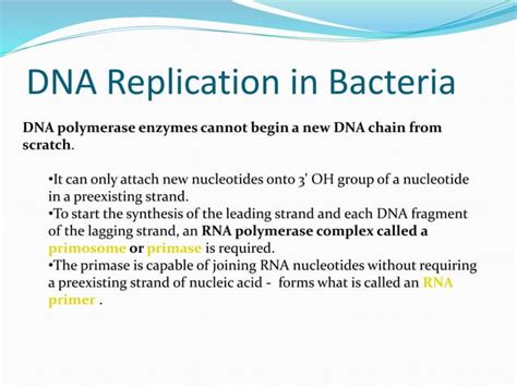 Dna Replication In Prokaryotes PPTX Chemistry Science