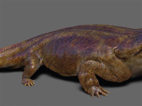 Prehistoric Giant Amphibians