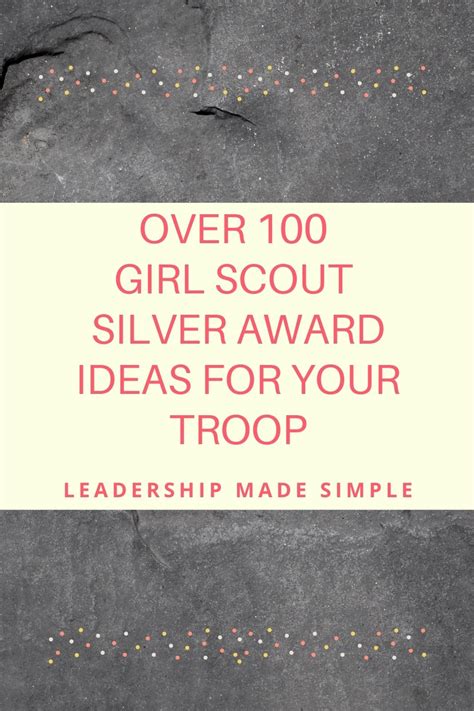 Cadette Journey Resources For Leaders Girl Scout Cadette Silver Award