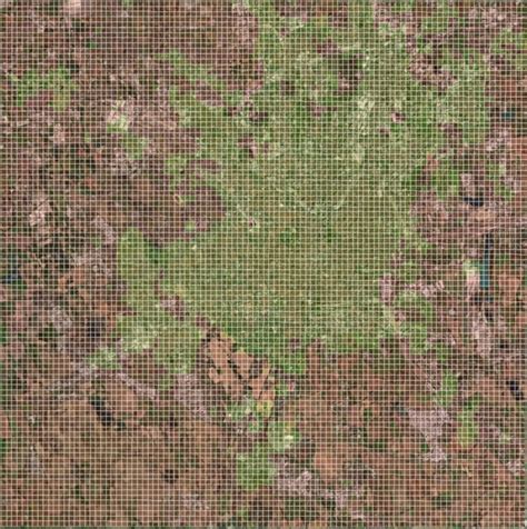 Multi Label Classification For The Area Identification Field Cib