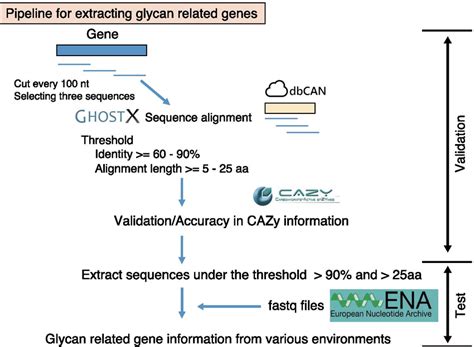 A Strategy Of Identification Of Glycan Related Genes In Environments