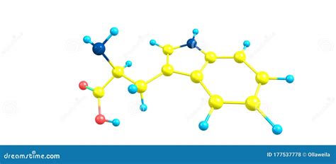 Tryptophan Molecular Structure Isolated On White Stock Illustration Illustration Of Supplement