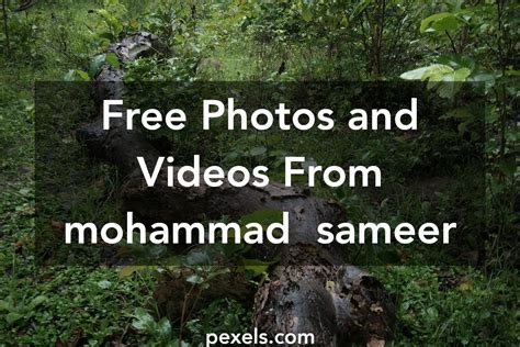 mohammad sameer photography