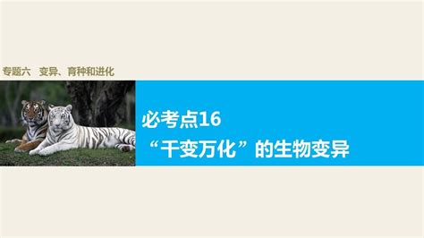 【步步高】2016版高考生物全国专用大二轮总复习与增分策略 专题六 必考点16word文档在线阅读与下载无忧文档