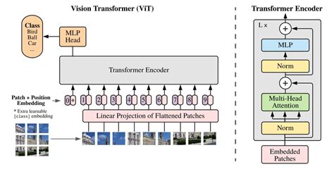How To Fine Tune Vit For Image Classification Using Transformers In