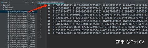 Yolov 人脸关键点检测 知乎