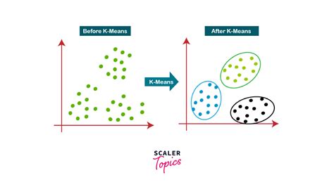 Introduction To Image Segmentation Scaler Topics