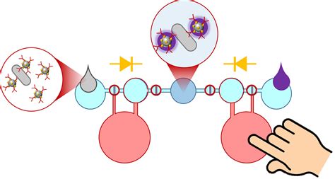 Sensors Free Full Text Colorimetric Detection Of Escherichia Coli
