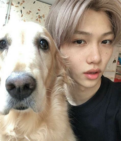 Pin On Felix