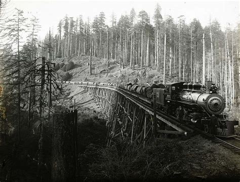 Logging Train