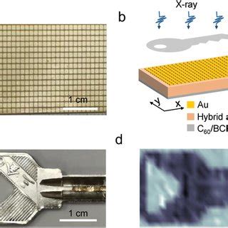 Design For New Hybrid Detector A Preparation Schematic Diagram For Download Scientific