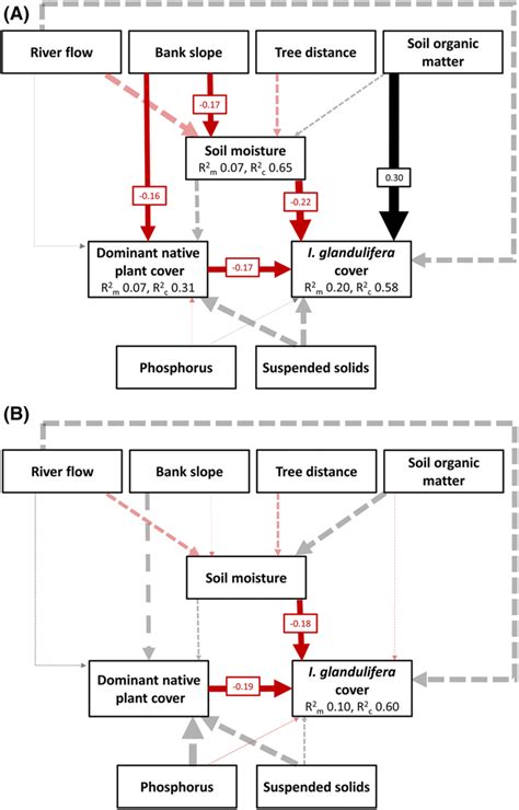 Structural Equation Model Sem Path Diagrams For Biotic And Abiotic Download Scientific