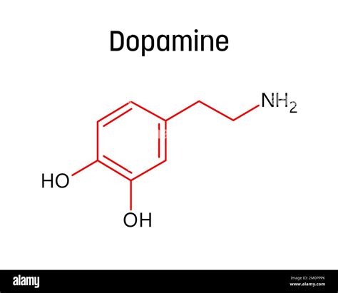 Dopamine Molecular Structure Dopamine Is Neurotransmitter With Important Role In Human Body
