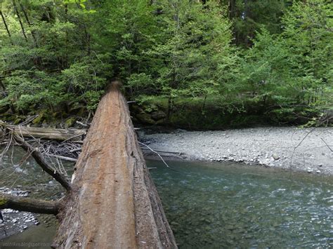 Grasshopper Grasshopper Trail River Trail And Bull Creek Trail South