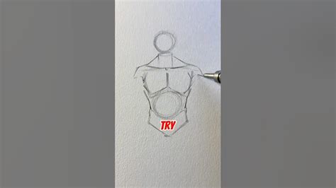How To Draw Male Torso Jmarron Youtube