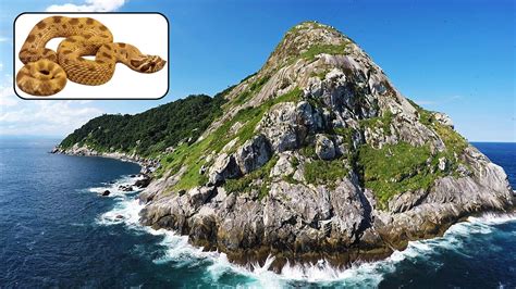 Snake Island The Worlds Most Venomous Island Isle Keys