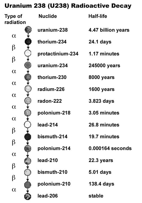 Decay Of Uranium To Lead At Daniel Bohanan Blog