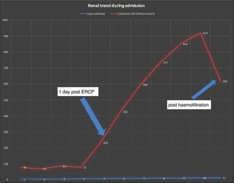 Graph Trending The Rise In Creatinine Levels Post Endoscopic Retrograde Download Scientific