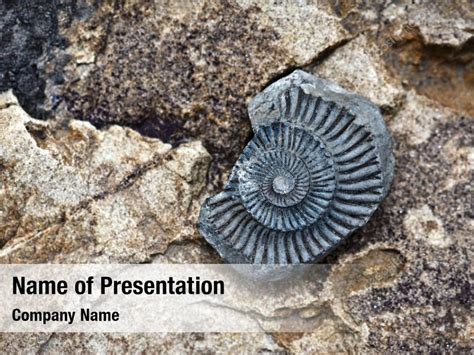 Stone Fossil Red Powerpoint Template Stone Fossil Red Powerpoint