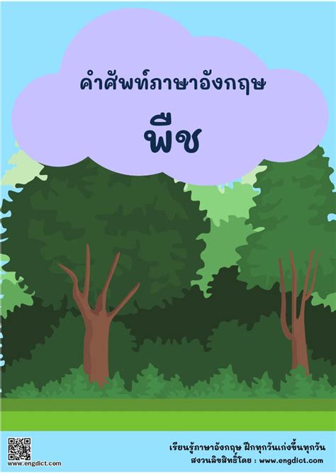 Engdict เรียนภาษาอังกฤษ 🔔 ไฟล์ คำศัพท์ภาษาอังกฤษ หมวด พืช คำศัพท์อังกฤษ หมวด พืช จำนวน 178