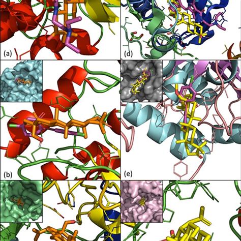 A Pymol Visualization Of The Binding Site Of Bame Yellow With Pdb