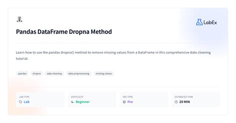 Pandas Dataframe Dropna Data Cleaning Tutorial Labex