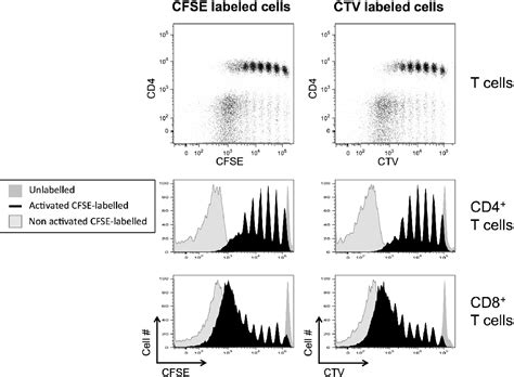 Figure 2 From The Use Of Cfse Like Dyes For Measuring Lymphocyte Proliferation Experimental