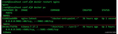 成功解决：nginx Emerg Unexpected In Etcnginxconfdnf10记笔记程序bug的技术博客51cto博客