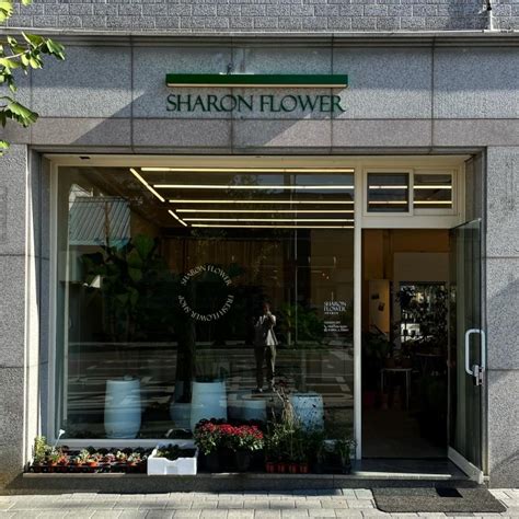 문경 꽃집 간판 샤론의 플라워 조명 간판 입체 문자 간판 깃발 플래그 간판 시트커팅 설치 및 시공 네이버 블로그