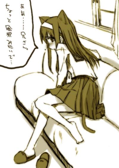 Tohno Akiha Tsukihime Danbooru