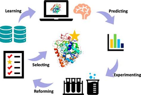 人工智能辅助脂肪酶生产和工程以提高酶性能 Journal Of Agricultural And Food Chemistry X Mol