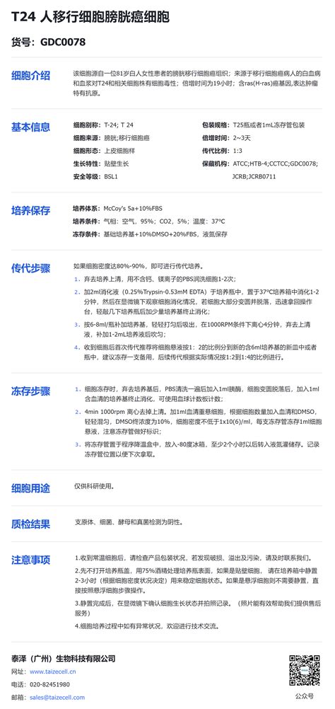 人移行细胞膀胱癌细胞 T24 泰泽（广州）生物科技有限公司