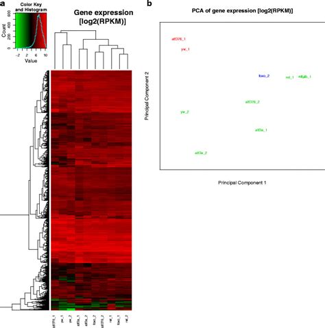 Heatmap On The 10 Rna Seq Test Data Sets The Replicates Of Each