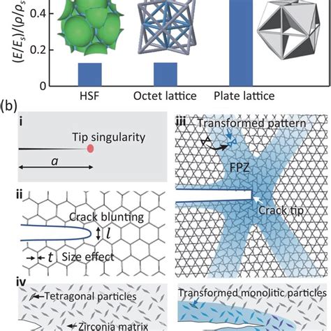 Lifeng WANG Professor Associate PhD Stony Brook University New York Stony Brook