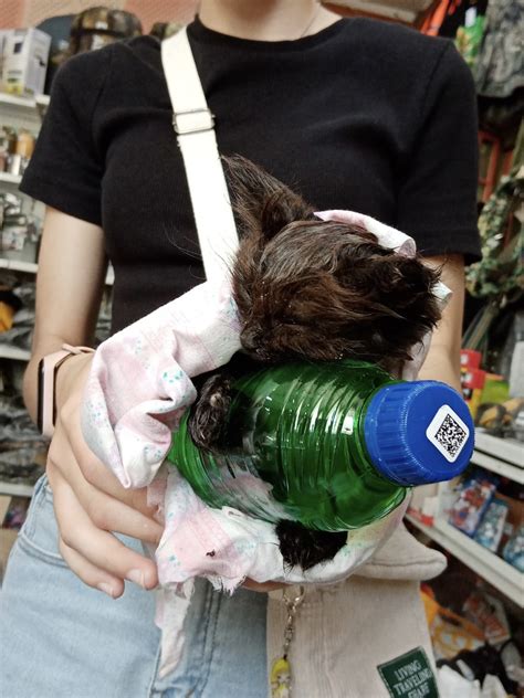 Женский оргазм что это как устроен как проявляется как достичь