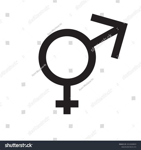 Logo Vector Gender Male Female Sex Stock Vector Royalty Free
