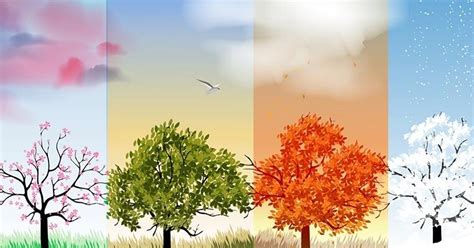 Практична робота №5 Визначення середніх температур та амплітуди їх