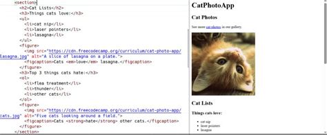 Maadhavan Natarajan On Linkedin Html Responsivewebdesign Freecodecamp Coding