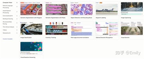 LabelStudio保姆级使用教程 看着一篇就够了 知乎