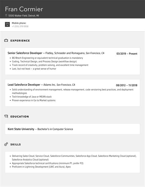 Salesforce Developer Resume Samples Velvet Jobs