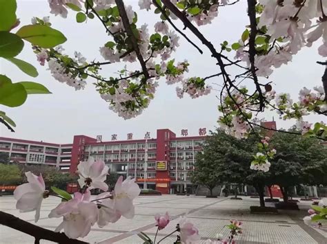 成都市郫都区第四中学