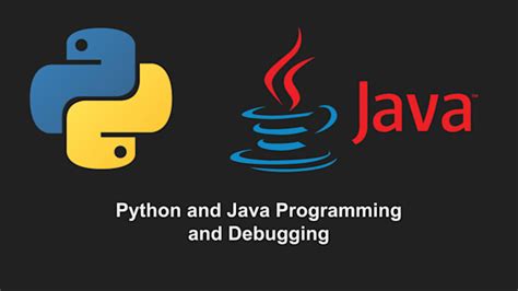 Write And Debug Code In Java Or Python By Veecy82 Fiverr