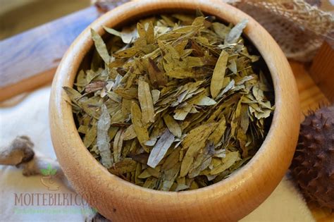 СЕНА МАЙЧИН ЛИСТ 25гр слабително и диуретично действие Онлайн мага