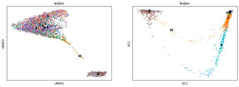 Tutorial Unbranched GRN Velocity Along Oligodendrocytes Differentiation SCENIC Dev
